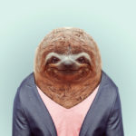 Des portraits d'animaux habillés par le photographe-illustrateur Yago ...