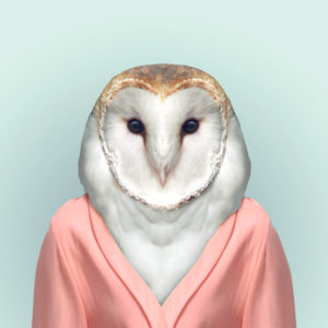 Des portraits d'animaux habillés par le photographe-illustrateur Yago ...