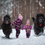 "Little Kids with their Big Dogs", des chiens et leurs petits maîtres ...