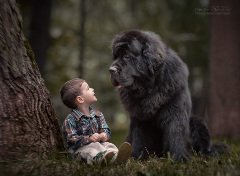 "Little Kids with their Big Dogs", des chiens et leurs petits maîtres ...