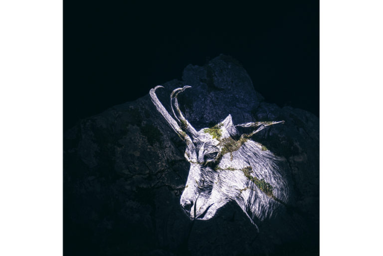 CRYING ANIMALS - L'incroyable série photo projetée dans la nature par ...