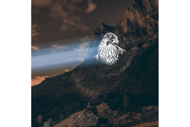 CRYING ANIMALS - L'incroyable série photo projetée dans la nature par ...