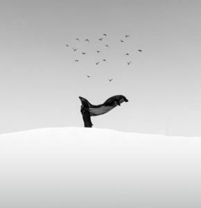 Le monde minimaliste de Rohit Rattan, entre imaginaire et réalité