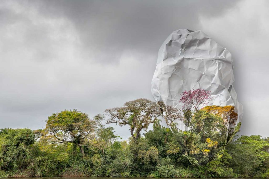 La fragilité de la Nature par Ingrid Weyland - Blog Graine de Photographe