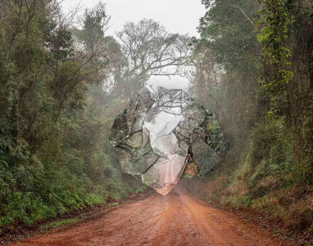 La fragilité de la Nature par Ingrid Weyland - Blog Graine de Photographe