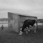 Dormant Season - Une vie rurale capturée par Erinn Springer - Blog ...