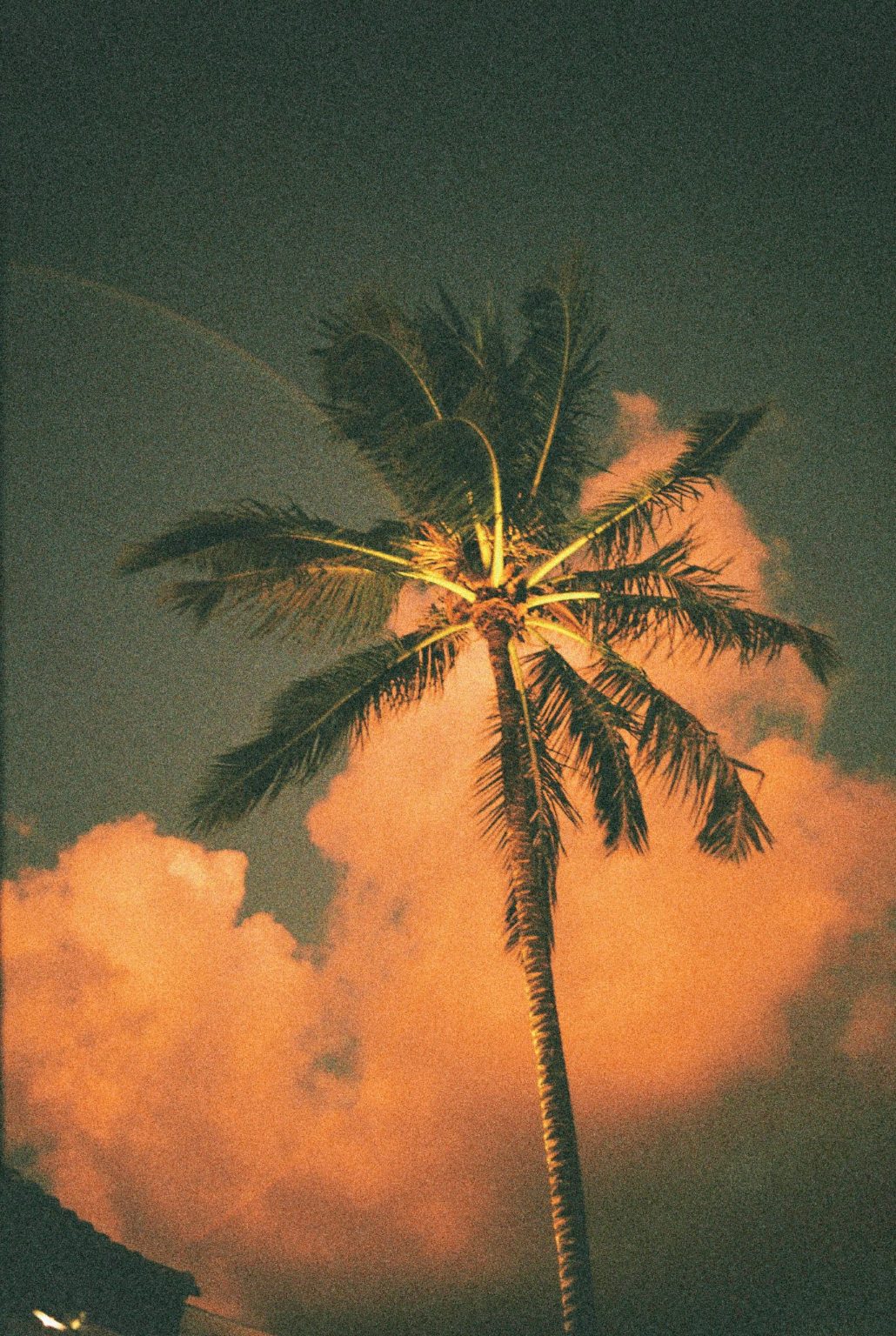 Plongez dans l'univers poétique et vintage de Tiffany Roubert - Blog ...